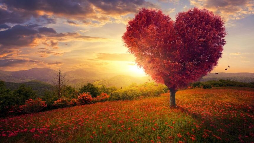 A Prayer For Strong Love For God ‣ The Bible Teaches This