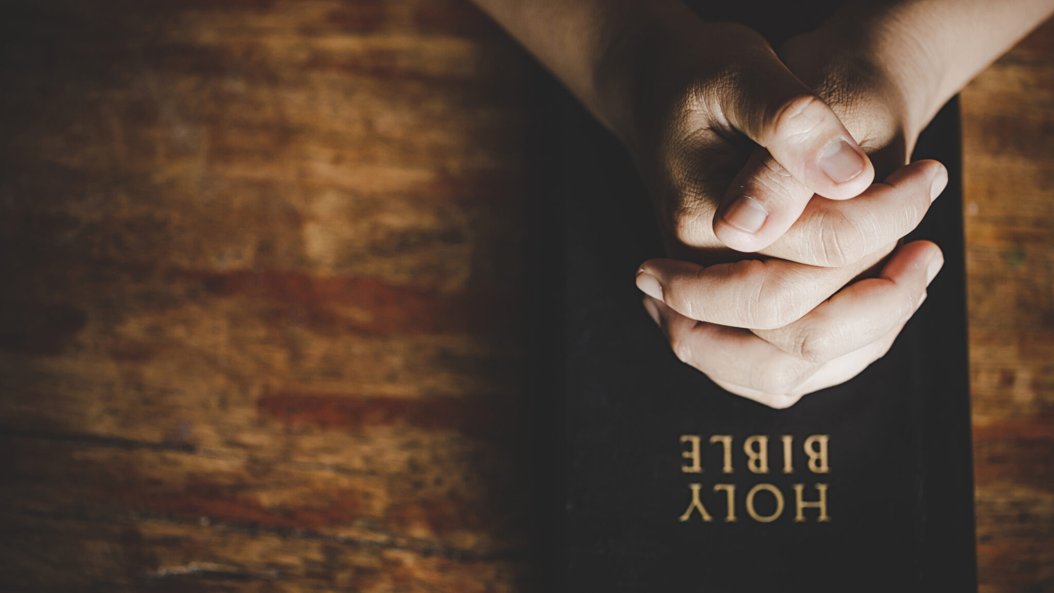 Bible Verses for Miscarriage ‣ The Bible Teaches This