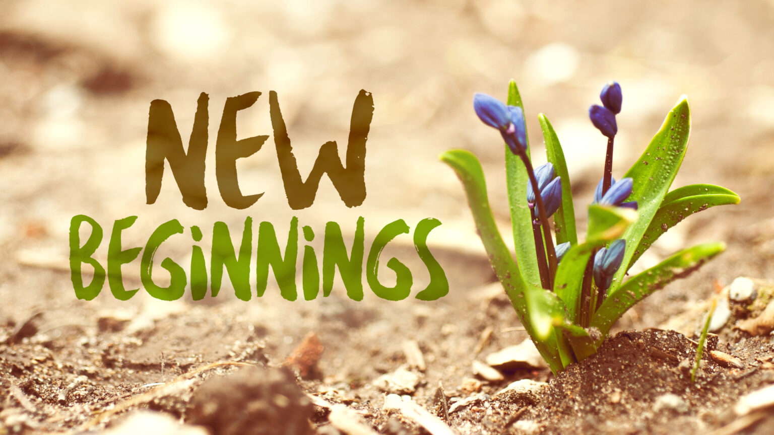 Walking in Newness of Life: How the Bible Defines True Change