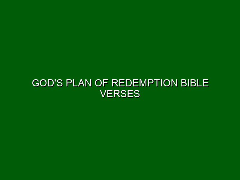 GOD’S PLAN OF REDEMPTION BIBLE VERSES ‣ The Bible Teaches This