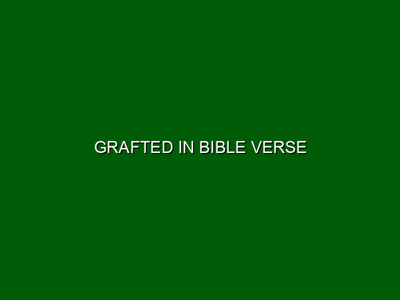 GRAFTED IN BIBLE VERSE ‣ The Bible Teaches This