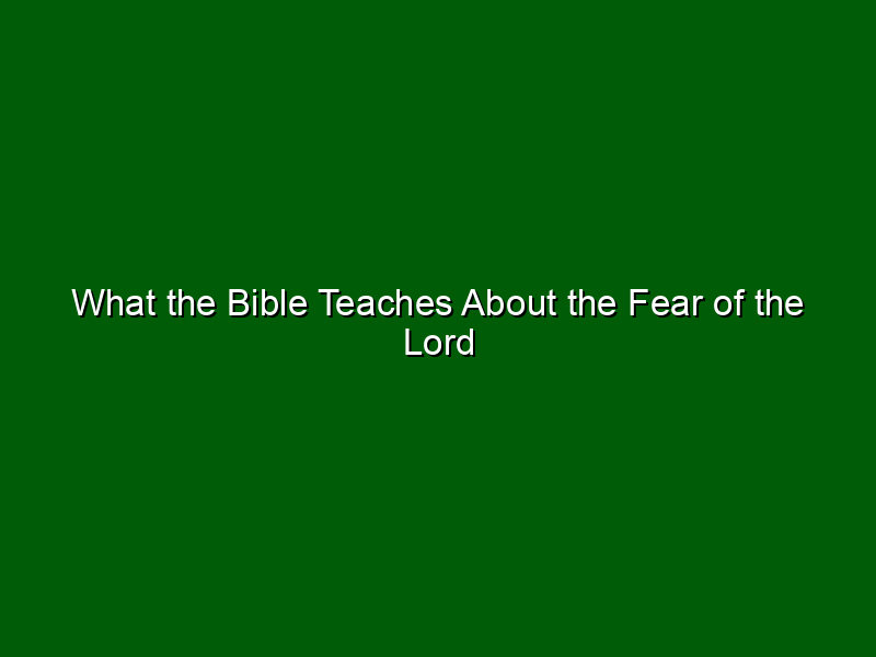 What the Bible Teaches About the Fear of the Lord ‣ The Bible Teaches This